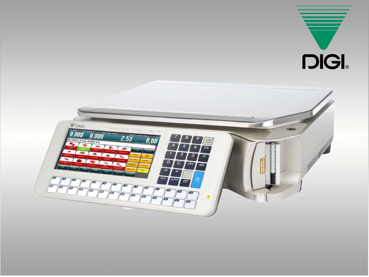 Básculas Electronicas DIGI | SM-5500B
